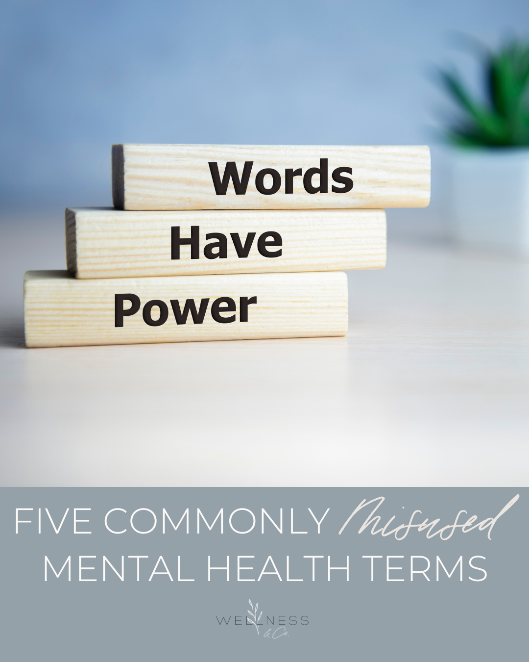 “Um, Actually”: 5 Commonly Misused Mental Health Terms - Wellness & Co ...